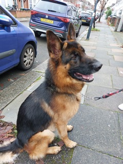 ROMEO - MIDDLESEX
