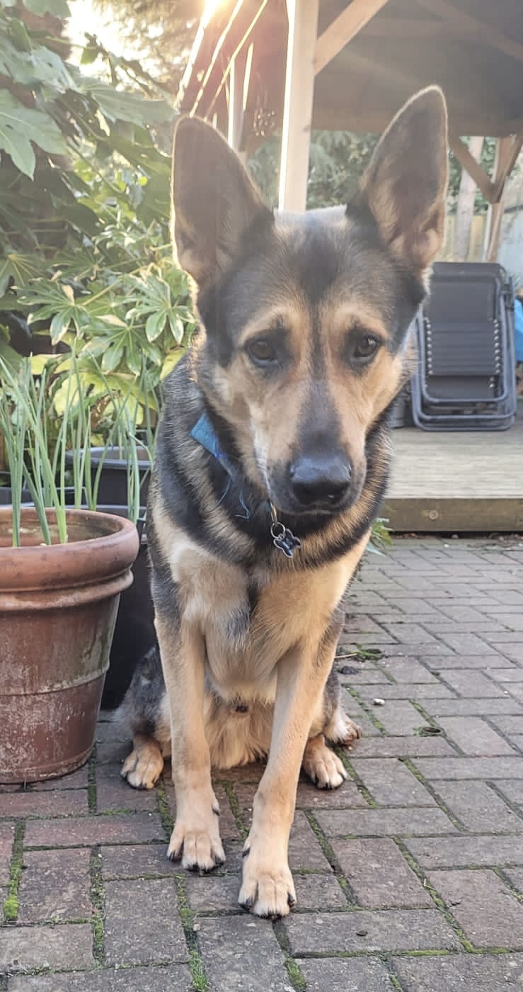 MILO - MILTON KEYNES