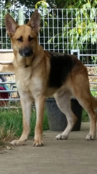 GEORGE - MILTON KEYNES