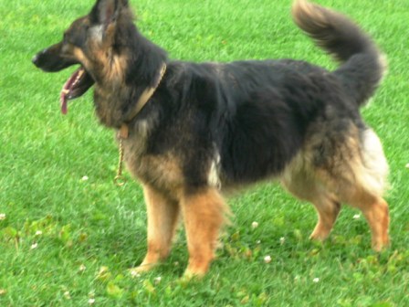 blake web.jpg?osCsid=7e16b011ec9943c74fbd760a8be30621