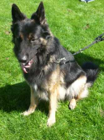 busby 001.jpg?osCsid=3b2232626aaa1c7f49b1514504cd4652