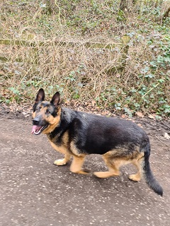 Ruby - Gtr Manchester